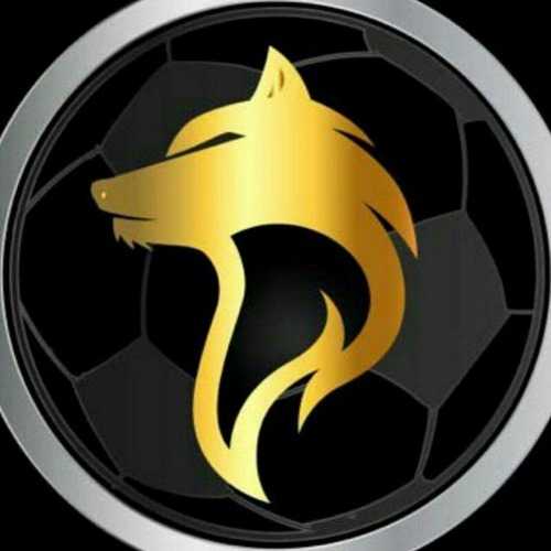 ولف بت 90 (WolfBet) ورود به آدرس جدید سایت میلاد حاتمی - سایت شرط بندی پوکر آنلاین